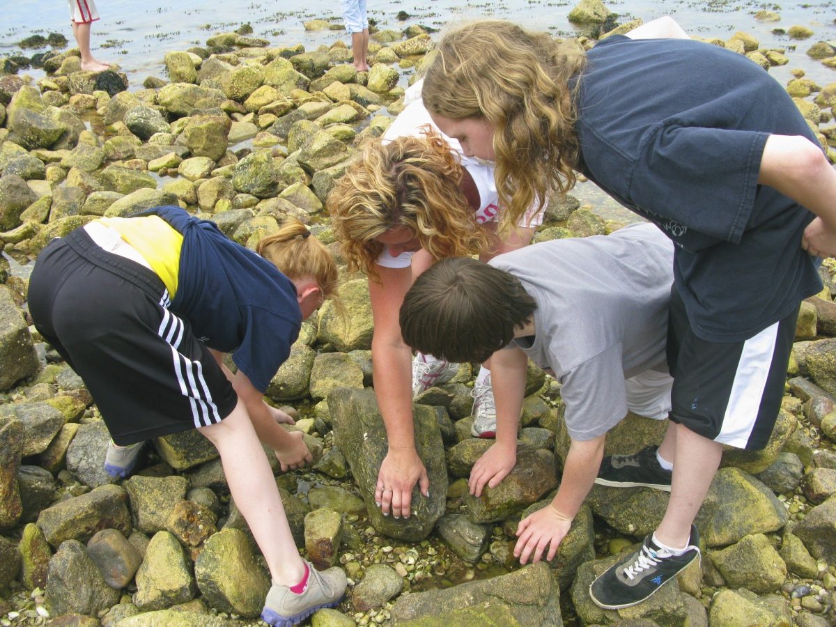 Estuary Education | Connecticut National Estuarine Research Reserve