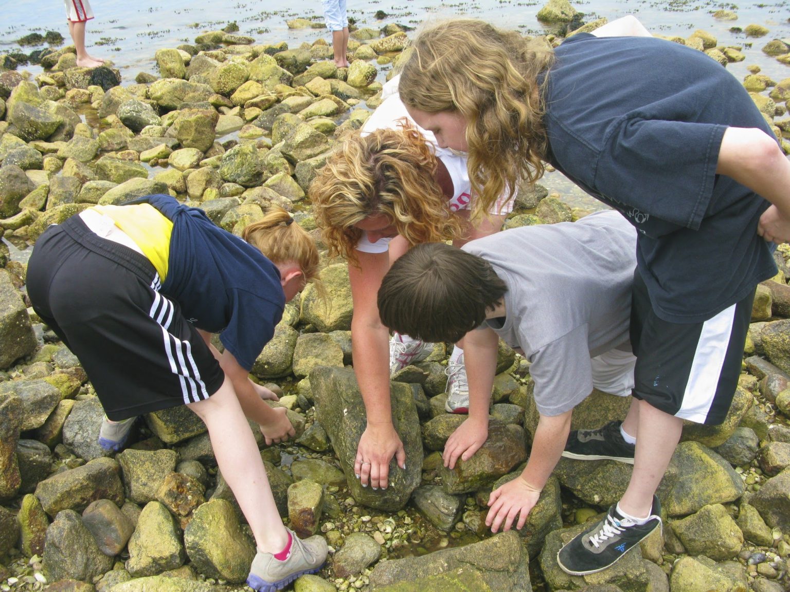 Estuary Education | Connecticut National Estuarine Research Reserve